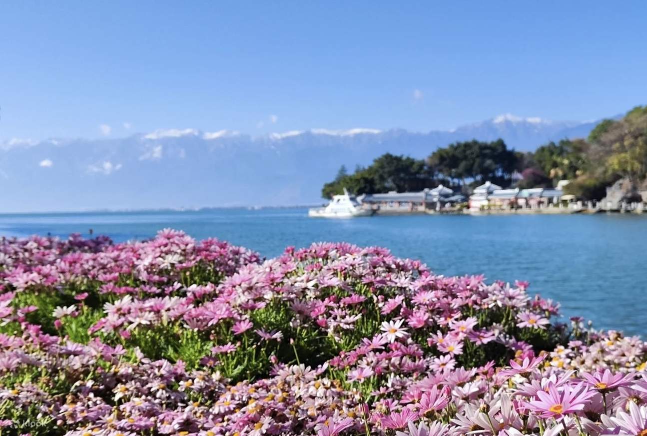[Klook self-operated] Yunnan Dali Erhai Lake 1-day tour (Xizhou Ancient ...